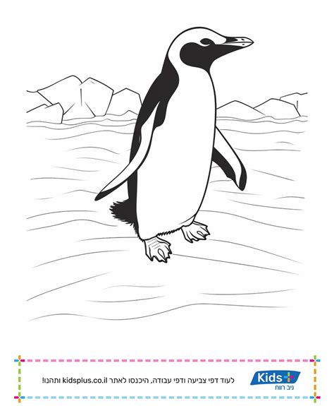 דפי צביעה פינגווין