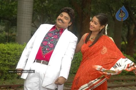 Sankranthi Alludu Movie New Stills Photo 18 Of 47
