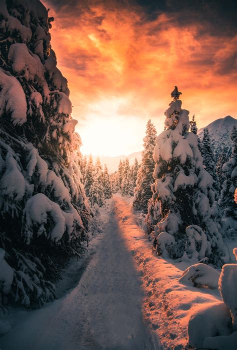 Beautiful Stuff Last Light On The Turnagain Pass Alaska 4656x6687 Oc