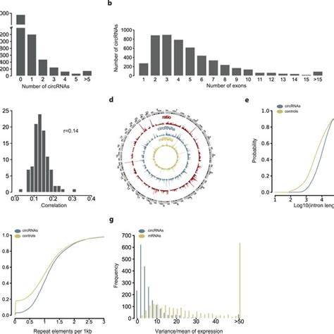 Features Of Detected Circular Rnas In Neuroblastoma Ag Total Rna
