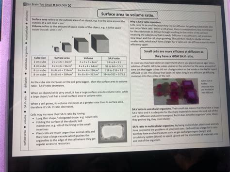 Solved Use The Surface Area To Volume Ratio To Explain Why Chegg