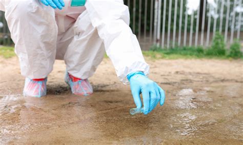 New Low Cost Rapid Field Diagnostic Tests For Pathogens Etec Shigella