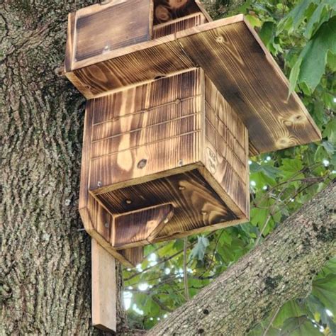 Squirrel House Squirrel Nest Box Wildlife Rehab Approved Squirrel Box