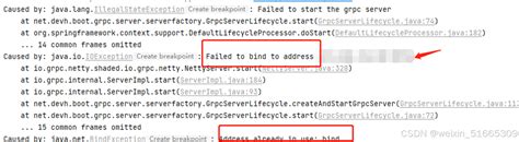 Grpc 集成grpc Server Spring Boot Starter，解决failed To Bind To Address 0000 Csdn博客