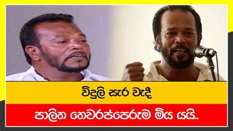 විදුලි සැර වැදී පාලිත තෙවරප්පෙරුම මිය යයි
