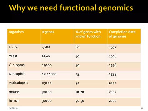 Functional Genomics And Tools Pptx