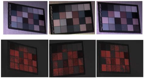 Pediatric Brain Tissue Segmentation Using A Snapshot Hyperspectral Imaging Shsi Camera And