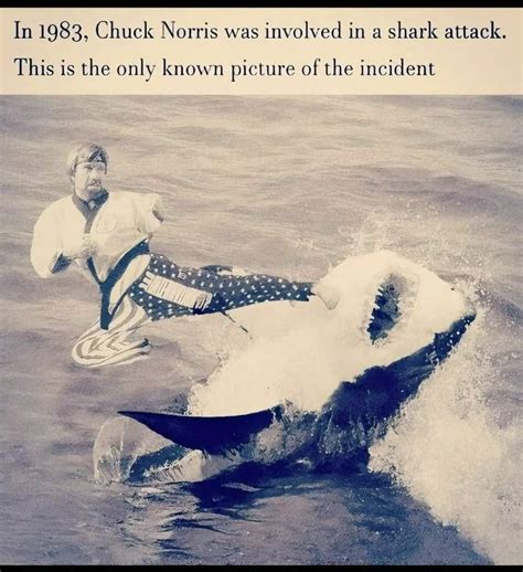 Chuck Norris Meme Album On Imgur