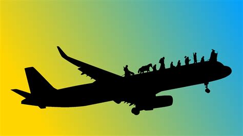 Your Essential Guide To The Perfect Travel Insurance Plan