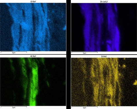 Edx Mapping Of O Zn Al And Si In The Cross Section Of An Unexposed Download Scientific