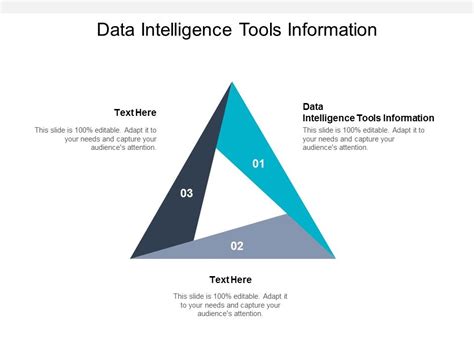 Data Intelligence Tools Information Ppt Powerpoint Presentation Model Cpb