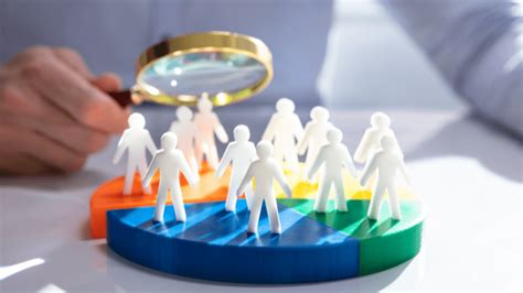 How To Execute Population Segmentation Using Rpm Certintell