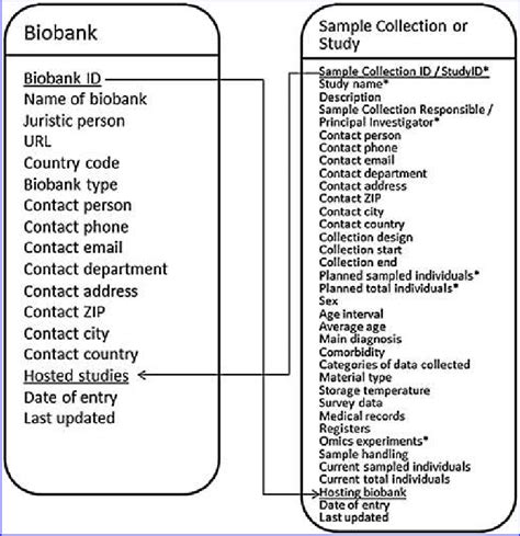 The Relationship Between The Types Of Attributes Highlights Download Scientific Diagram