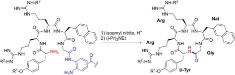 Head To Tail Macrocyclization Of Cysteine Free Peptides Using An O