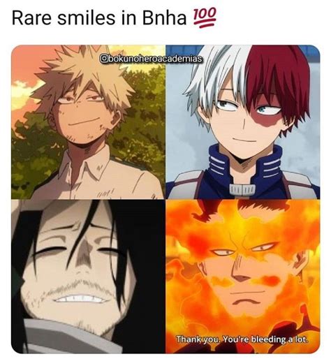 My Favorite Bnha Memes Artofit