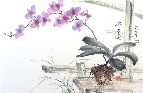 胡姬花系列作品