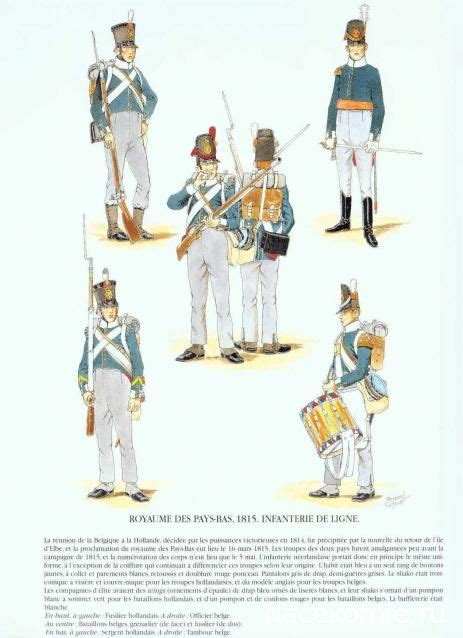 12 Kingdom Of The Netherlands 1815 Napoleonic Period Regiments