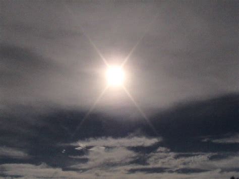 Scie Chimiche Focus It