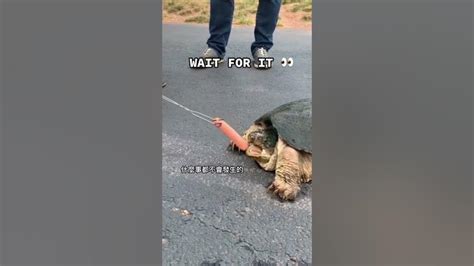 吳世康 好兄弟～『迷因』 Youtube