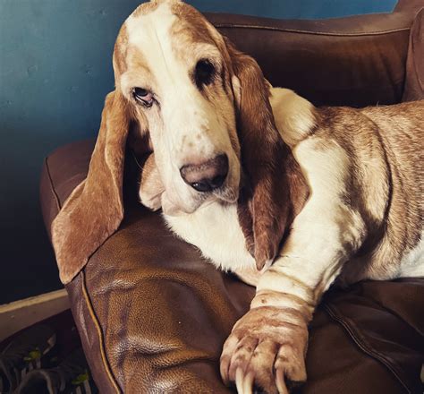 Duncan The Dane Duncanthedane Twitter