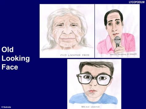 February 2014 Lycopodium Ppt