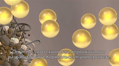 Протеиновое кормление, Оптиген, Дэмп - YouTube
