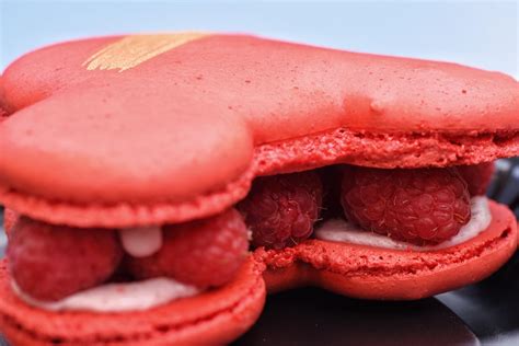 [i Ate] Disneys Raspberry Macaroon R Food