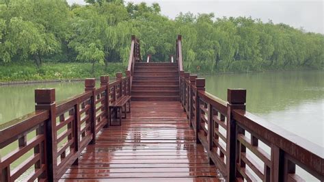 3小時最佳的聽雨睡眠声音，最適合睡眠的下雨聲，在湖邊木棧道上聆聽下雨的聲音幫助你快速入眠，白噪音睡眠下雨声助眠，自然声提高睡眠质量