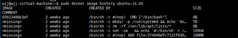 Docker Csdn Docker