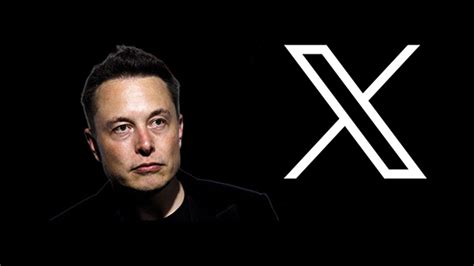 ডেটিং ফিচার নিয়ে আসছে টুইটার কালবেলা