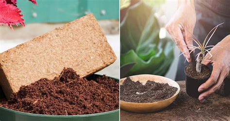 Nursery Garden Bio Substrates