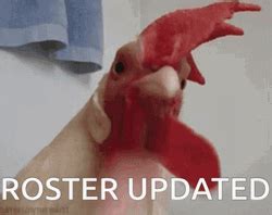Rooster S Download And Share
