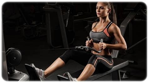 Программа тренировок для девушек в тренажёрном зале 3 раза в неделю