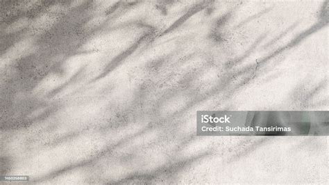 Beautiful Soft Natural Dappled Light Of Tropical Tree And Leaf Shadow