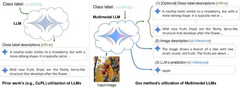 Figure 2 From What Do You See Enhancing Zero Shot Image Classification With Multimodal Large