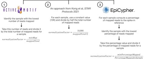 Experimental design considerations | Introduction to ChIP-Seq using high-performance computing