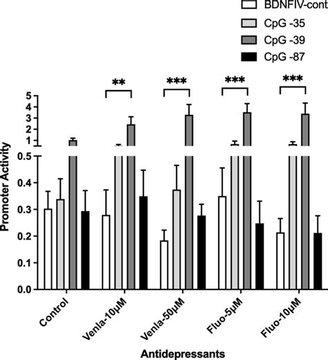 Effect Of Single CpG Methylation On BDNF Exon IV Promoter Activity