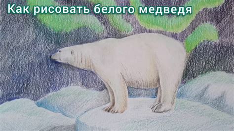 Як намалювати білого ведмедя олівцем кілька варіантів малюнка