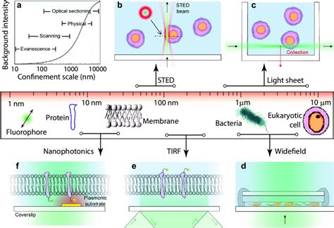 2 Bridging Optical Microscopy And Sub Cellular Biophysics By Various