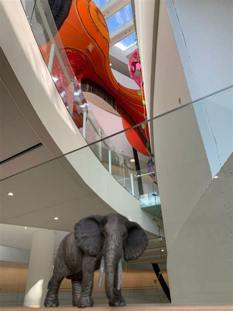 Theelephantintheroom Elefantenirummet Leadership Mindfulavoidance
