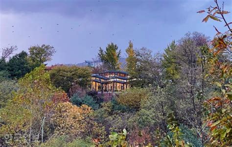 책 나들이 숲 나들이 가을이라 더 좋은 숲속도서관 한국일보