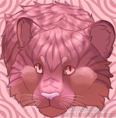 Ameth By Wolfusimagius On Deviantart