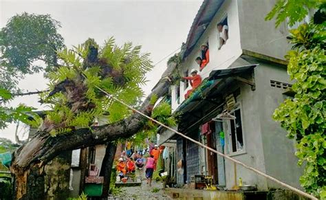 ကော့သောင်းမြို့တွင် မိုးသည်းထန်ပြီးလေပြင်းတိုက်ခတ်သဖြင့် သစ်ပင်ပြိုလဲကာ နေအိမ် အစိတ်အပိုင်းအခ