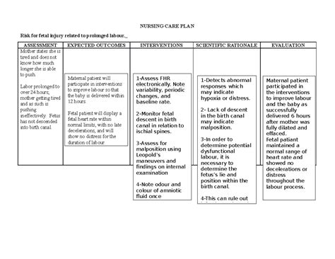 7 Preterm Labor Nursing Care Plans Nurseslabs Histori