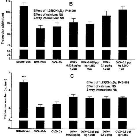 Serum Calcium A Serum Alkaline Phosphatase B Serum Pth C And