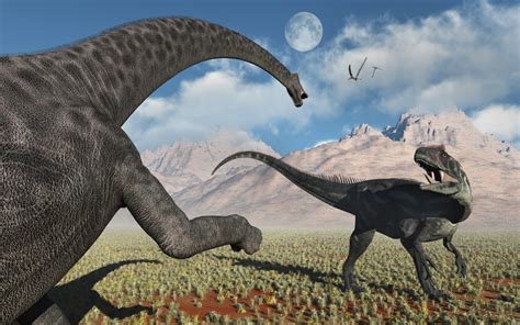 Allosaurus Vs Diplodocus