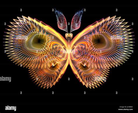 Never Were Butterflies Series Composition Of Isolated Butterfly