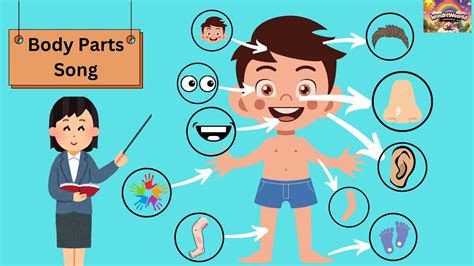 The Body Parts Song Learn Move And Sing Youtube