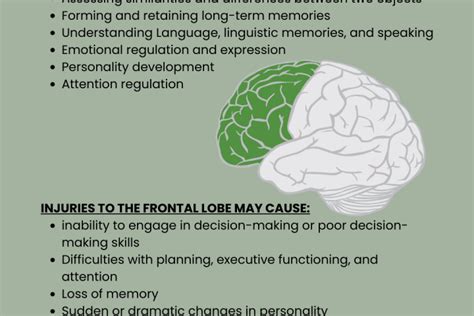 Frontal Lobe Functions Life After Stroke American Stroke Foundation