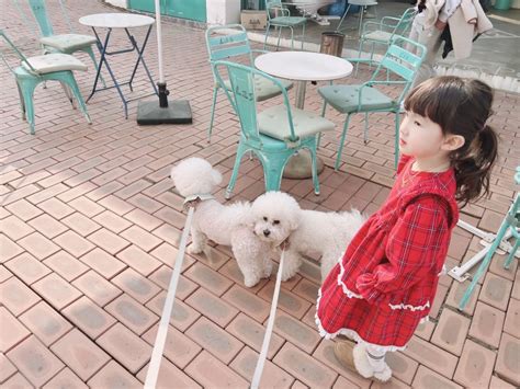 강아지 애견동반여행 가평 스페인마을 강아지랑 갈만한곳 네이버 블로그